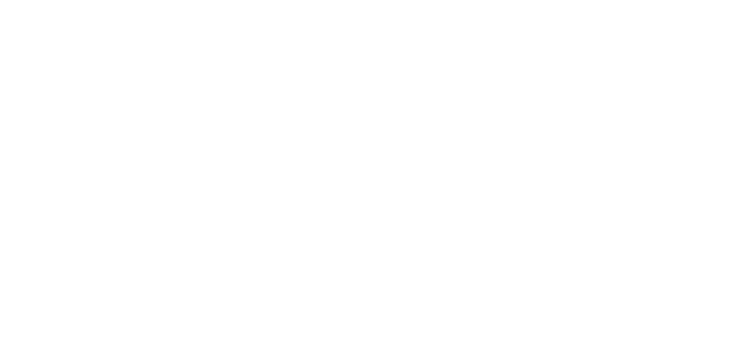 ZiNG Official